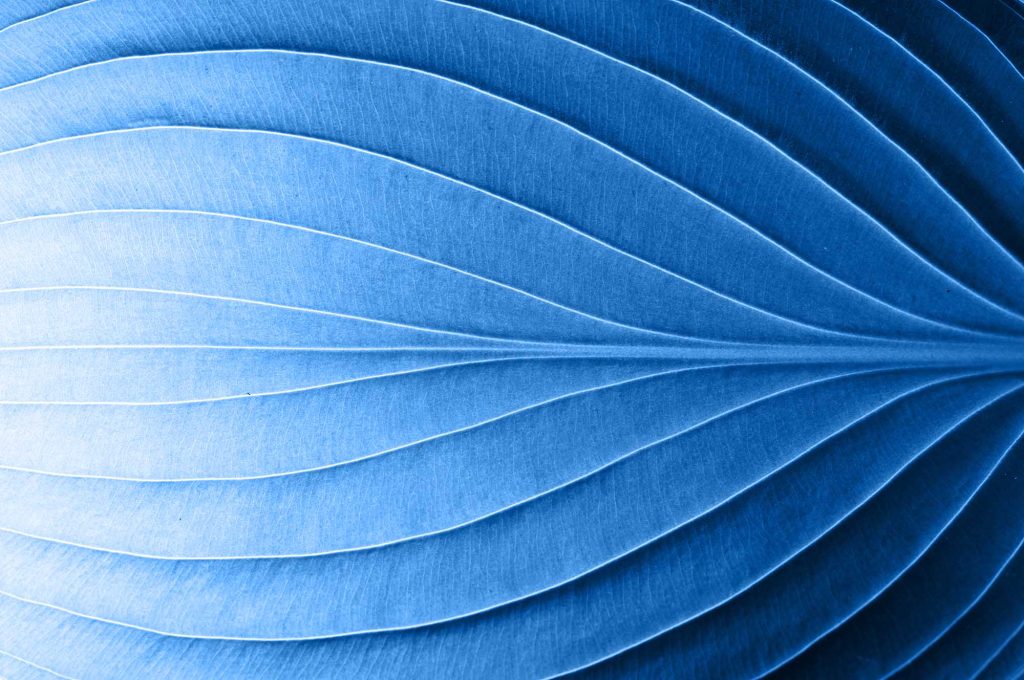 Private Equity - Crescent Capital Partners